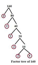 Prime Factors And Pair Factors Of 160 - Math Mitra